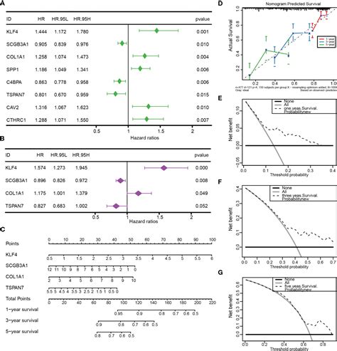 Frontiers Identification And Validation Of A Novel Cuproptosis