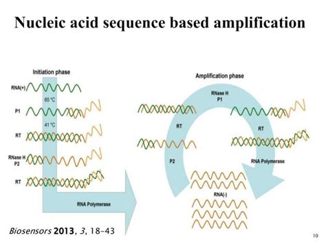 Isothermal Nucleic Acid Amplification Techniques