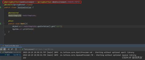 springboot 单元测试报错 `倔强男孩`的博客 csdn博客