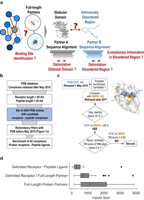 From Interaction Networks To Interfaces Scanning Intrinsically