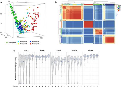 Single Cell Transcriptome Analysis Of Passages 3 4 6 8 And 9 Bmscs