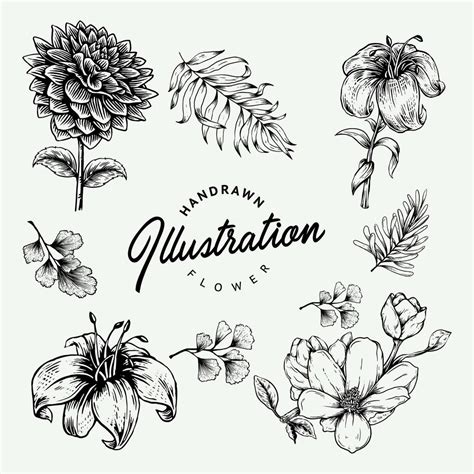 Hand Drawn Flower Set 966067 Vector Art At Vecteezy