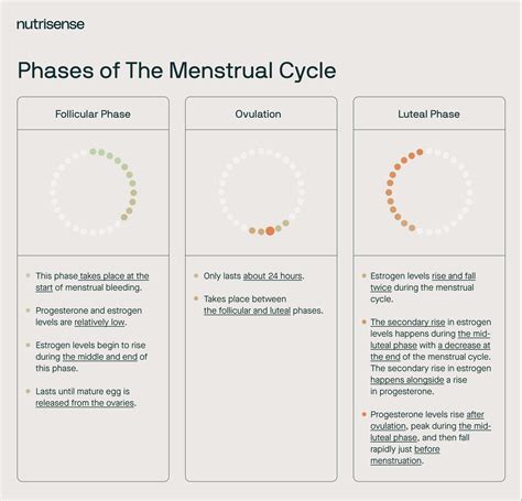 Does Cycle Syncing Work Exploring The Science And Benefits