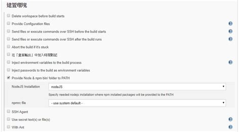 node js jenkins powershell ng is not recognized stack