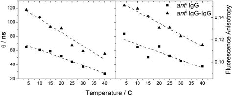 Rotational Correlation Time Left From Tcspc Traces And Steady State