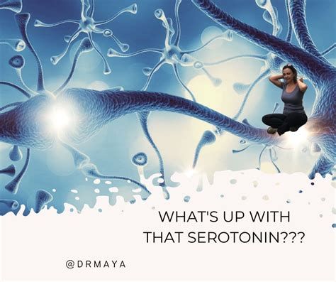 Serotonin And Your Digestion The Gut Brain Connection Dr Maya