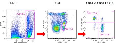 Top 9 Cd Markers And Their Function 2022