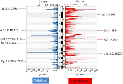 Cna In Specific Regions Detected By Gistic 2 0 Significantly Observed