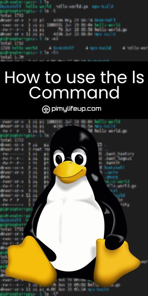linux ls command output description linux world