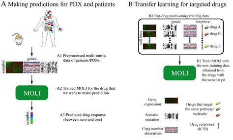 Schematic Overview Of Moli A Preprocessing Mutation Cna And Gene