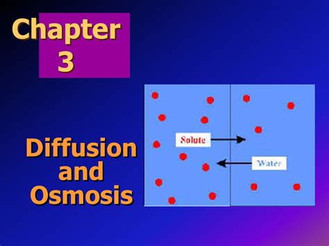 Ppt Diffusion And Osmosis Powerpoint Presentation Free 46 Off