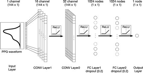 the structure of the developed model the input layer was composed of a