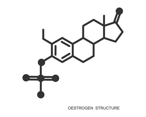 Estrógeno Icono Estrógeno Químico Molecular Estructura Hembra