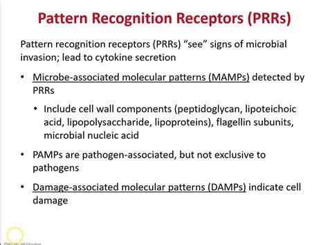 Chapter14 Pattern Recognition Receptors Prrs