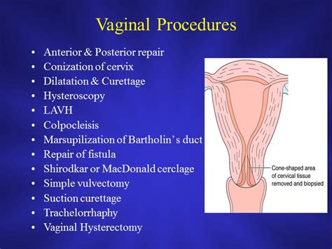 Introduction To Obstetrics And Gynecology Overview Objectives Match