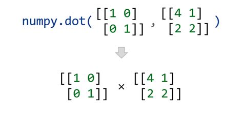 numpy dot codetorial free nude porn photos