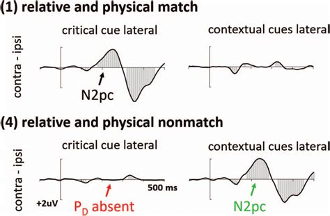 Group Mean Contra Minus Ipsilateral Difference Waveforms In Experiment