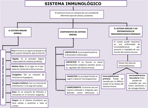 Mapas Conceptuales Del Sistema Inmunológico 【descargar】