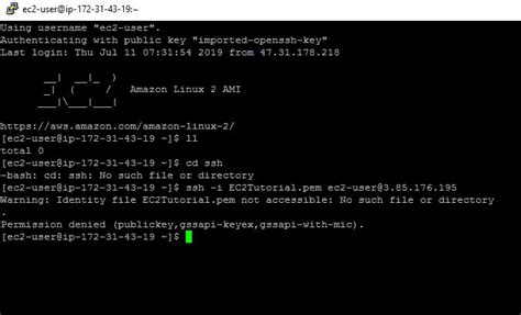 unable to ssh to amazon linux instance from windows 10 i have kept my