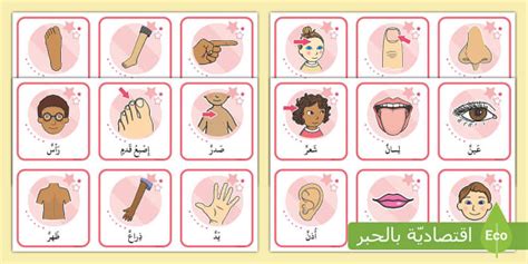حمّل بطاقات أعضاء جسم الإنسان لتعليم أطفالك عن أجسامهم