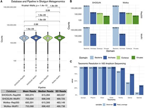 Comprehensive Evaluation Of Shotgun Metagenomics Amplicon Sequencing