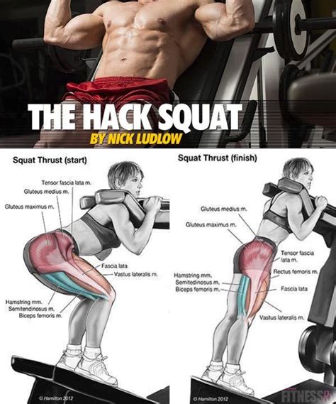 87 How To Do A Hack Squat Machine For Workout At Gym Fitness And Gym