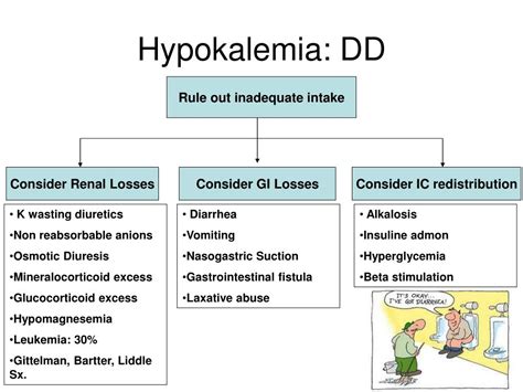 Causes Of Hypokalemia Differential Diagnosis Algorith