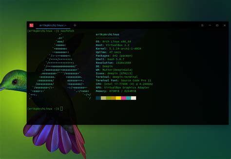 the best linux distributions for developers and programmers updated