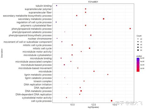 Go富集分析和kegg分析 Clusterprofiler 知乎