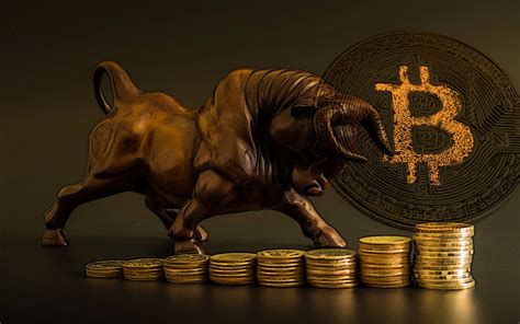 The Crypto Bull Run Crypot Coni