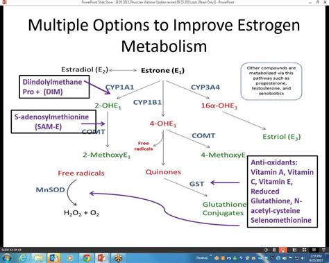 2013 09 23 Egt Physician Webinar Part 3 Estrogen Metabolism Oestrogen