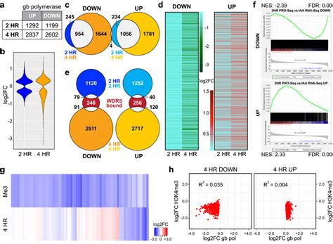 Rapid Impact Of Wdr5 Loss On Transcription A Summary Of Pro Seq From