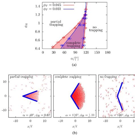 A Nonequilibrium Phase Diagram Marking Three Different Collective