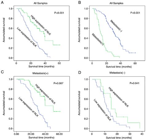 Association Of Nlk Expression With Overall Survival In Nsclc Patients