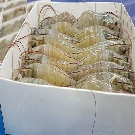 Frozen Head On Shell On Vannamei Shrimp Suppliers Traders Exporters Of