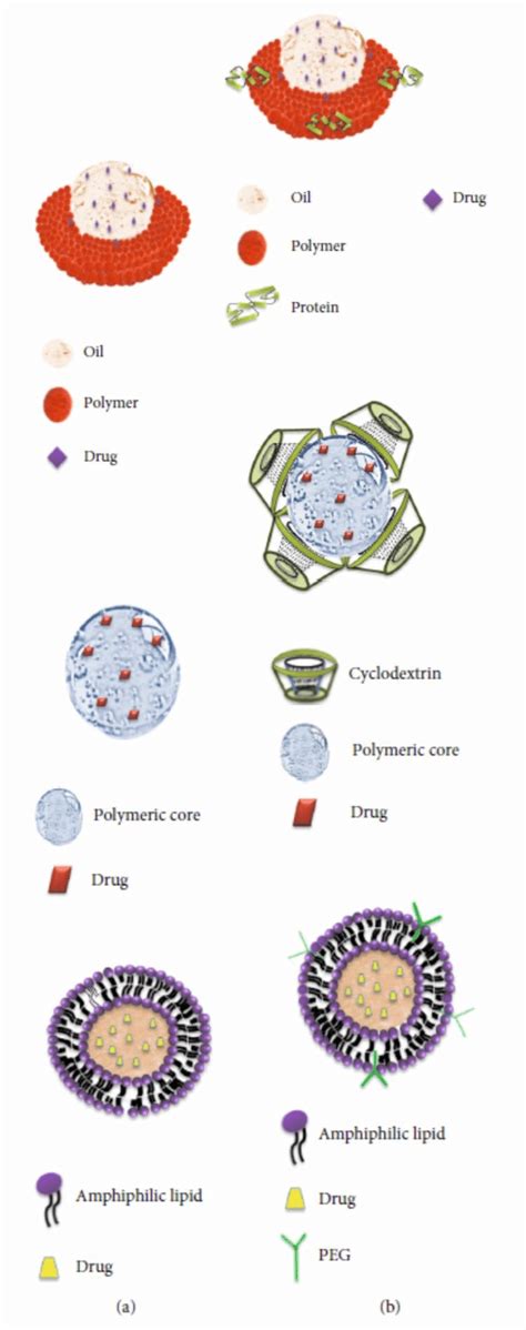 Schematic Representation Of Some Traditional Nanocarriers Structures