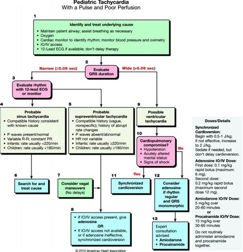 Important Algorithms First10em