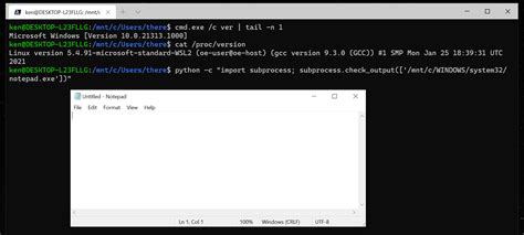 running windows executables using python s subprocess check output