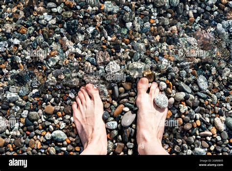 Female Feet In Sea Water On A Pebble Shore Top View In Summer Many