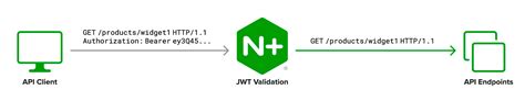 authenticating api clients with jwt and nginx plus nginx hot sex picture