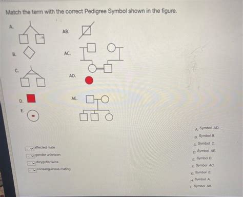 Solved Match The Term With The Correct Pedigree Symbol Shown