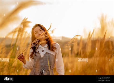 The Portrait Of A Pretty Girl Posing In The Pampas Grass Field On A