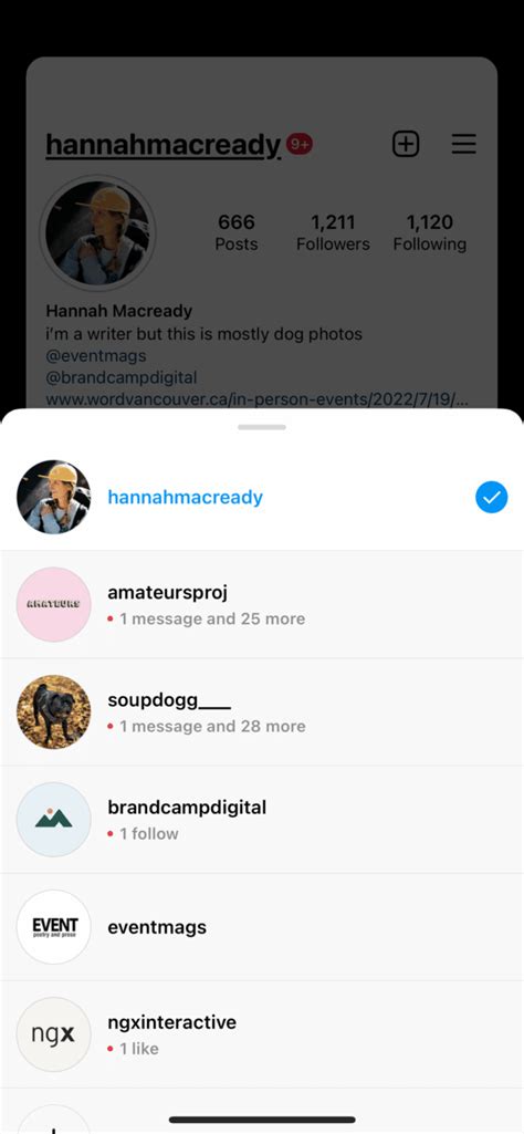 How To Add And Manage Multiple Instagram Accounts [one Email]