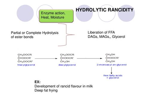 Oxidative Rancidity In Fats And Oils Causes And Prevention