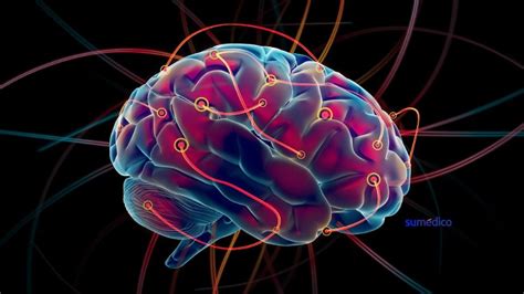 Neurofeedback Herramienta Auxiliar Para El Desequilibrio O Inmadurez