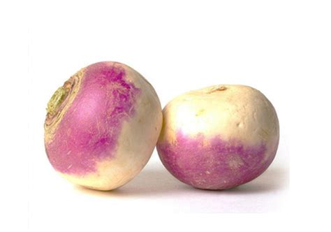 turnip pomona export