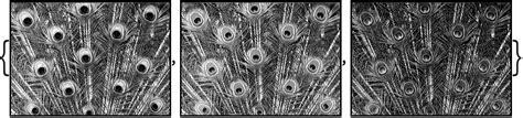 import and export images—wolfram language documentation