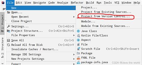 idea结合git教程（拉取项目，提交代码，合代码等等） idea git拉取项目 java the world的博客 csdn博客