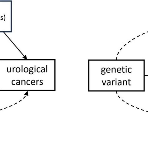 Conceptual Illustration Of The Mendelian Randomization Mr Method A