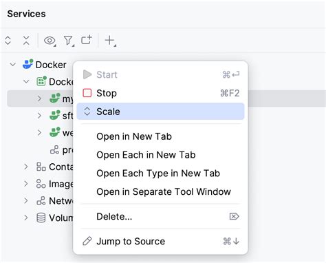 docker compose phpstorm documentation